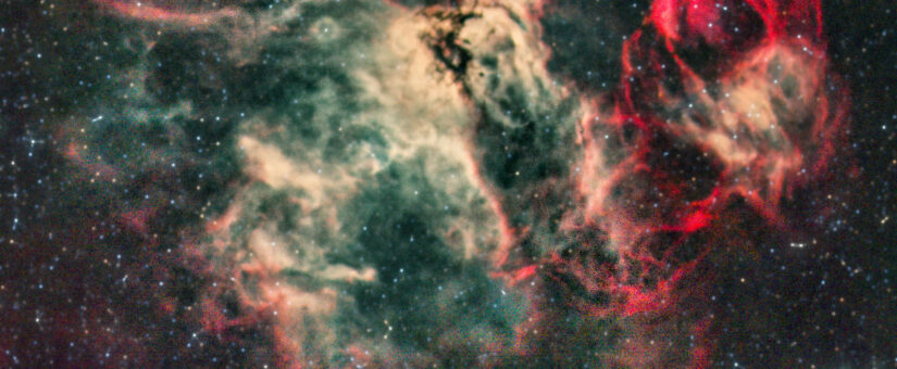 NGC 2035,2040, CDK24 - Michael Adler Earth and Sky Imaging